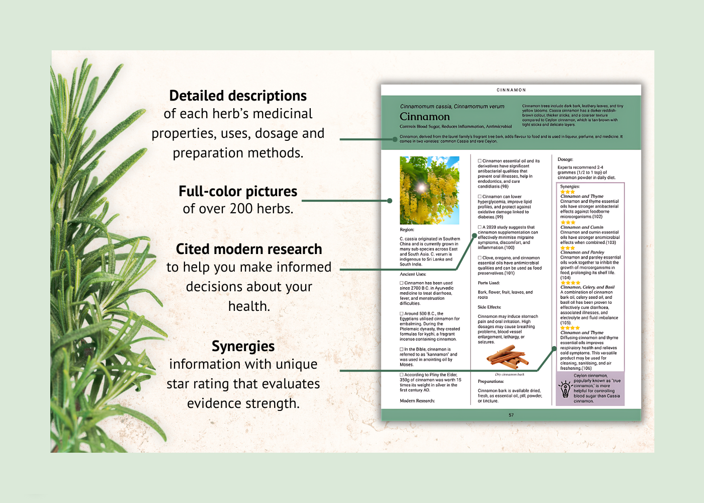 Explore Herbal Synergies with Lily Quinn