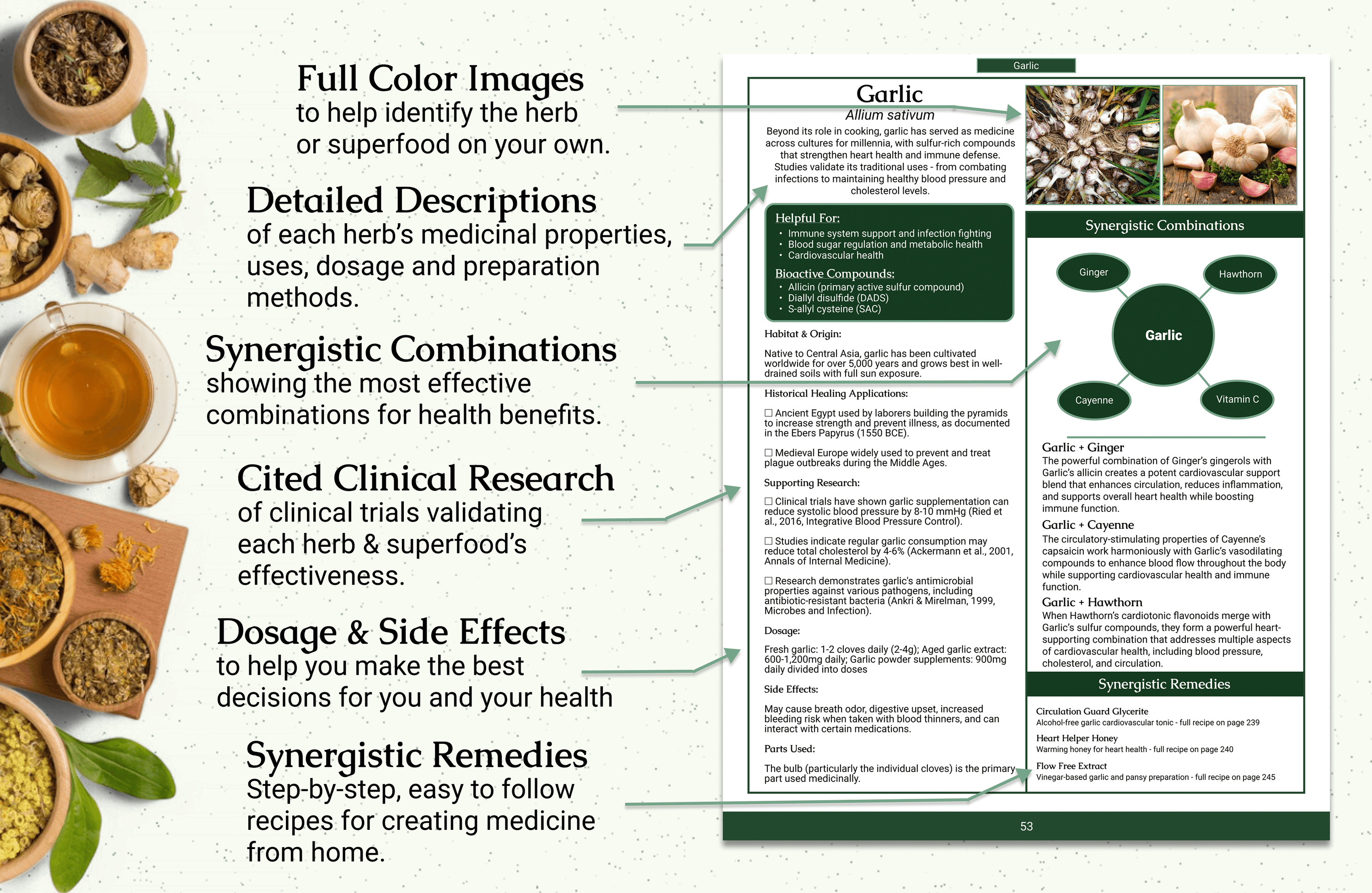 Explore Herbal Synergies with Lily Quinn