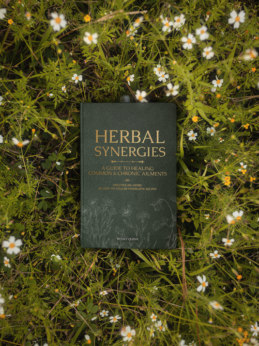 Explore Herbal Synergies with Lily Quinn